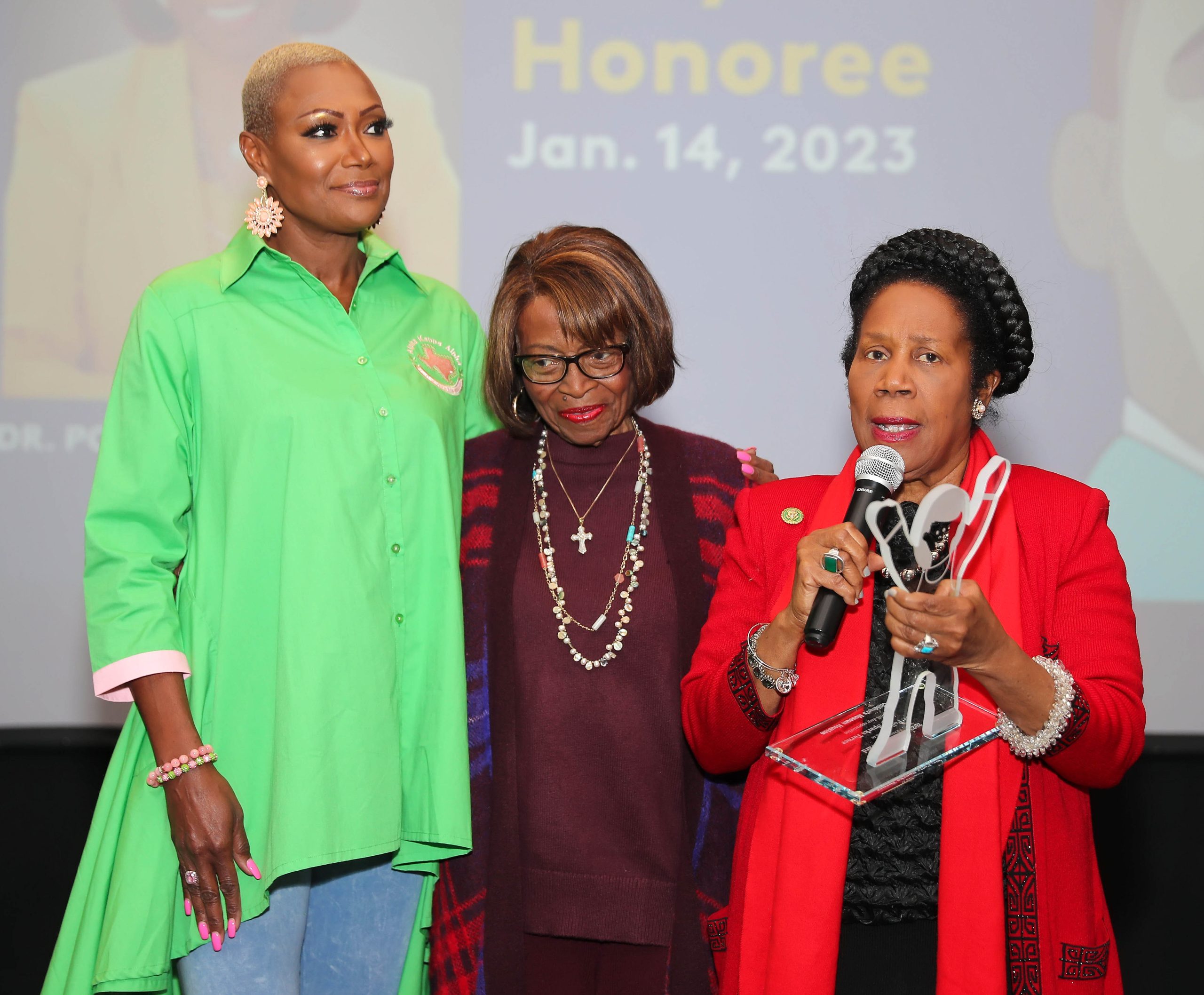 Children’s Museum Houston honors MLK, Dr. Polly Sparks Turner ...